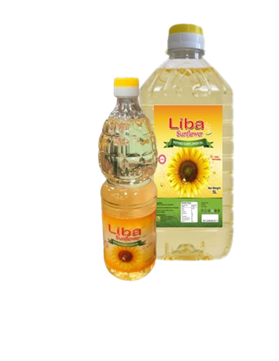 Golden Africa Djibouti SARL